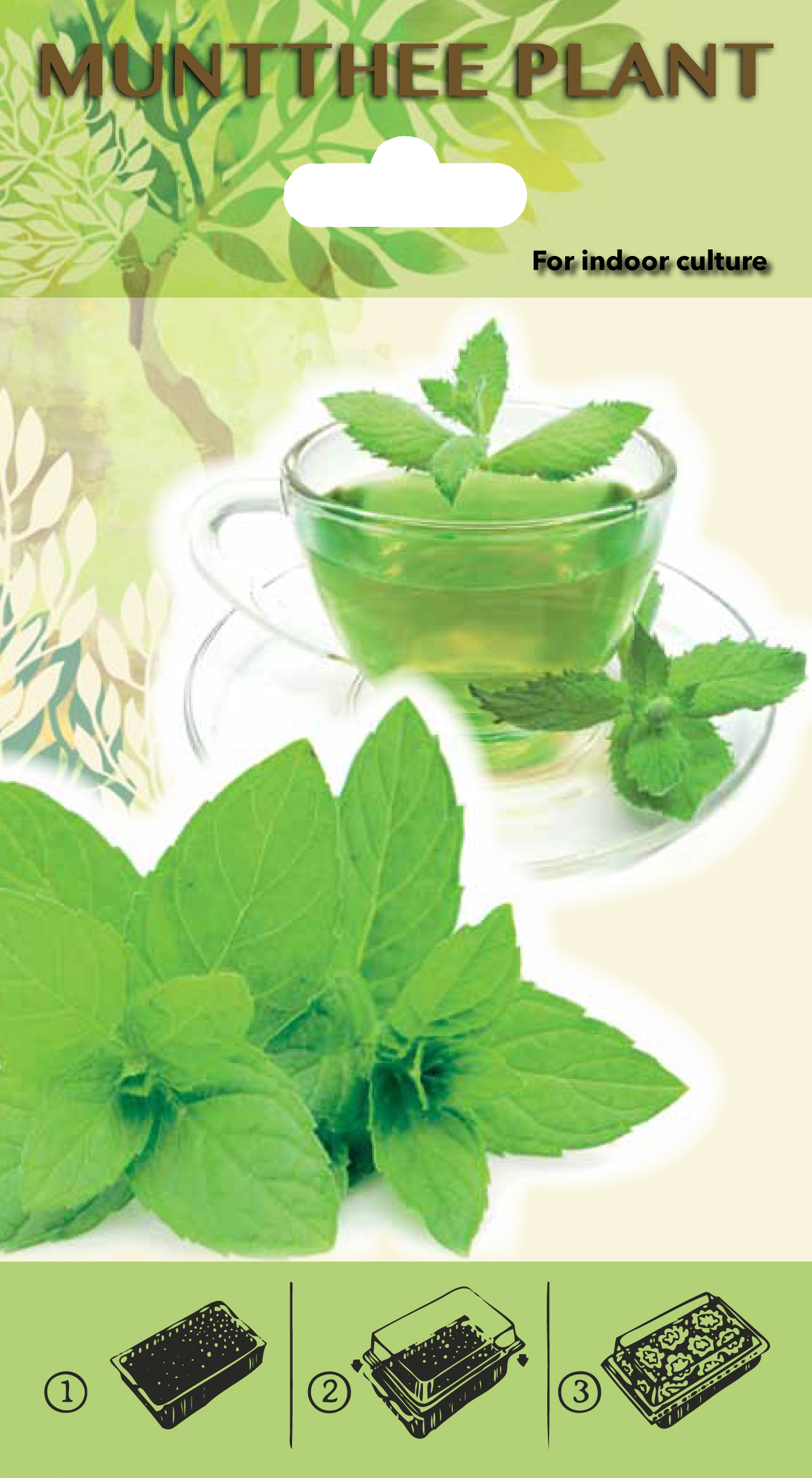 Menta - Mint plant - Pachet seminte si pamant