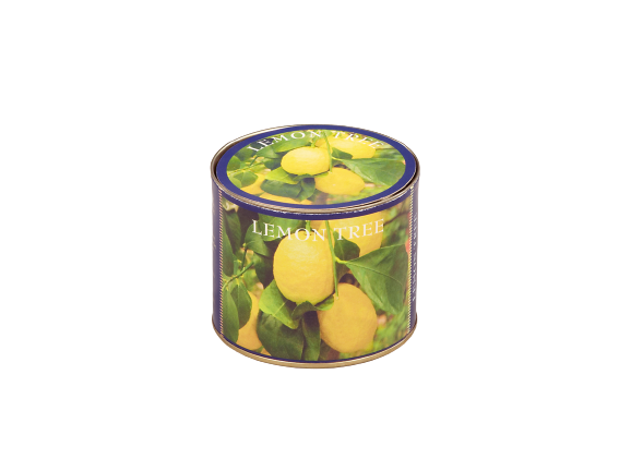 Lamai - Citrus Lemon - Seminte si pamant la cutie